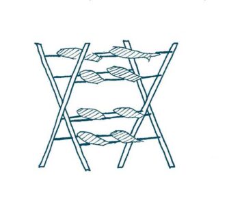 Curing Fish with Salt to Preserve your Catch – Mother Earth News